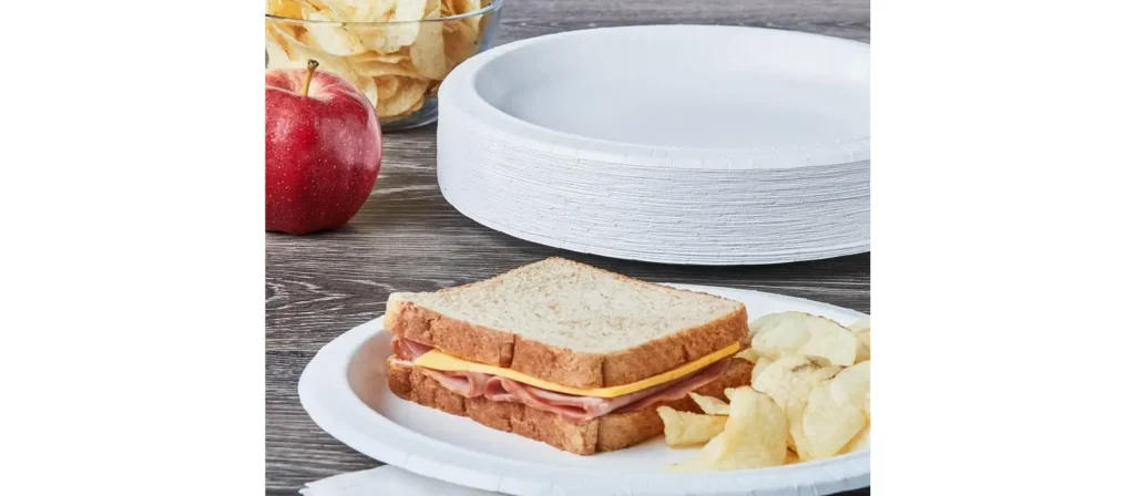 Paper Plate Sizes Guide: Choose the Right Size for Every Use