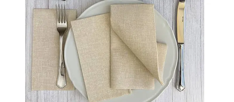 What Are Airlaid Napkins? Benefits, Uses, and Buying Tips